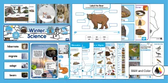 Animals in Winter | twinkl.com
