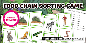 Food Chains | twinkl.com.au