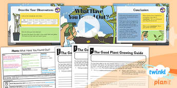 STEM Plant Lesson Plans And Resources | KS2 Science | Year 3