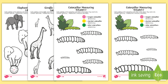 Caterpillar Life Cycles | twinkl.co.uk