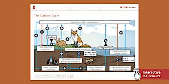 Carbon Cycle Resources | twinkl.com.au