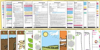 Life Cycles Early Years (EYFS), - Twinkl