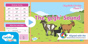 'g/gh' Sound Phase 2 - Stage 5/6 Phonics - Linguistic Phonics - Resources