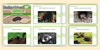 Moles Science Resources | twinkl.co.uk