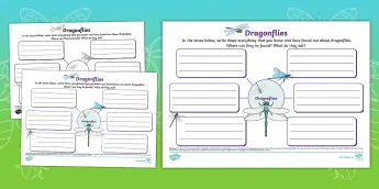 Dragonfly Educational Resources | twinkl.com.au