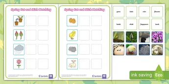 Spring Matching Activities | twinkl.com.au
