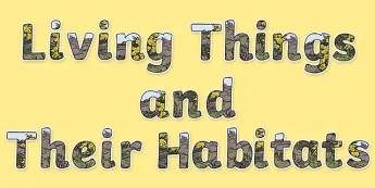Habitats Display Letters | twinkl.co.uk