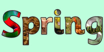 EYFS spring display ideas: Bring the joy of spring indoors!