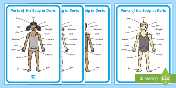 Interactive Body Parts | twinkl.com.au