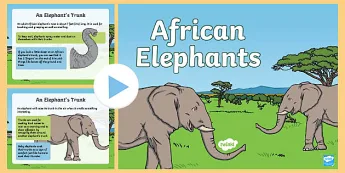 Safari PowerPoints | twinkl.co.uk