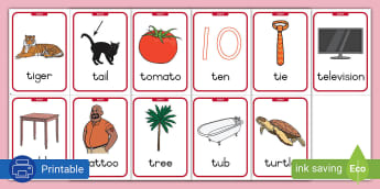 t sound | Grade R Phonics | English | South Africa | Twinkl