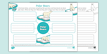 Polar Bears Resources | twinkl.co.uk
