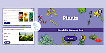 Plants - Year 2 Science Resources - Twinkl