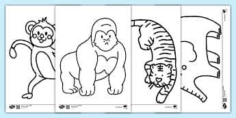 Rainforest and Jungle Colouring Ideas for Parents and Kids