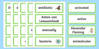 Biology Word Wall • Twinkl.com.au