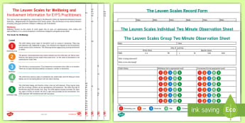 Assessment & Targets The Leuven Scales Early Years (EYFS) - Primary