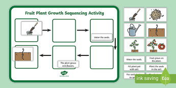 Plant Growth Activities | twinkl.com.au