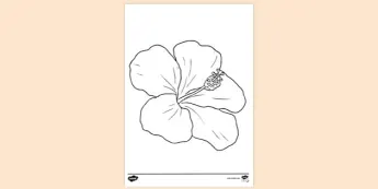 Hibiscus Flower Arts | twinkl.co.uk