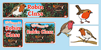 Robin Classroom Resources | twinkl.co.uk