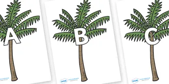 Cursive Alphabet Cards | twinkl.com.au