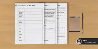 Plant Reproduction Resources | twinkl.co.uk