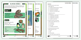 Snakes Reading Comprehensions | twinkl.com.au