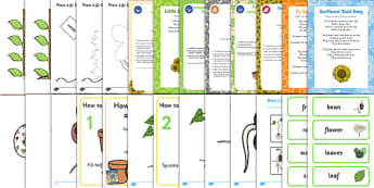 Life Cycles Early Years (EYFS), - Twinkl