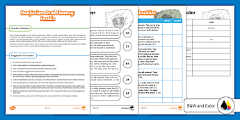 Third Grade Fossils | twinkl.com