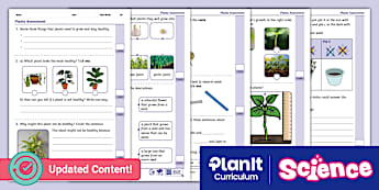 Plants - Year 2 Science Resources - Twinkl