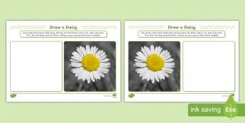 Drawing Observation Activities | twinkl.co.uk