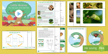Life Cycle Story for Kids - Little Acorns - Twinkl