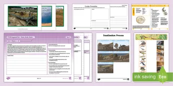 Rocks for Year 3 | twinkl.com.au