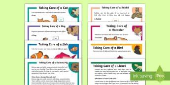 Animals - KS1 Reading Primary Resources - Page 2