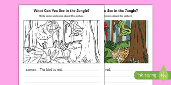 Picture Stimulus - Writing Frames - EYFS - Twinkl Resources