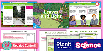 Plants KS2 Teaching Ideas - Twinkl