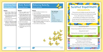 Butterfly Life Cycles | twinkl.co.uk