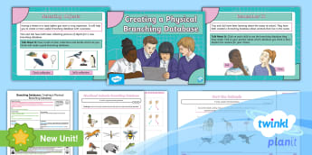 Branching Databases Year 3 - Computing Planning - Twinkl