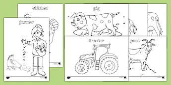 Early Education Colouring Sheets • Twinkl.com.au
