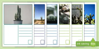 Cactus Crafts | twinkl.co.uk