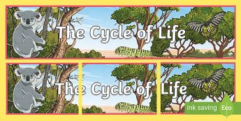 Life Cycles Integrated Units | Twinkl Resources - Twinkl