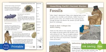 Fossils Activities | twinkl.co.uk