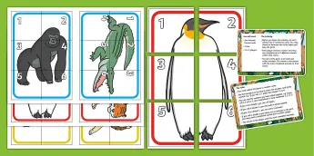 Counting Animals Games | twinkl.com.au