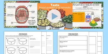 Taste PowerPoints | twinkl.com.au