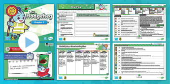 Whole-Class Guided Reading - The Hodgeheg by Dick King-Smith