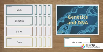 Biology Word Wall • Twinkl.com.au