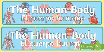Human Bodies | twinkl.com.au
