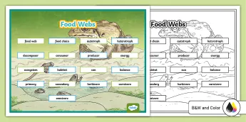 Food Webs Activities | twinkl.com