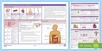GCSE Food Tests | twinkl.co.uk