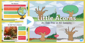 The Seasons Early Years (EYFS) - Twinkl