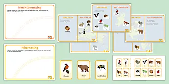 Hibernation Science Activities | twinkl.co.uk